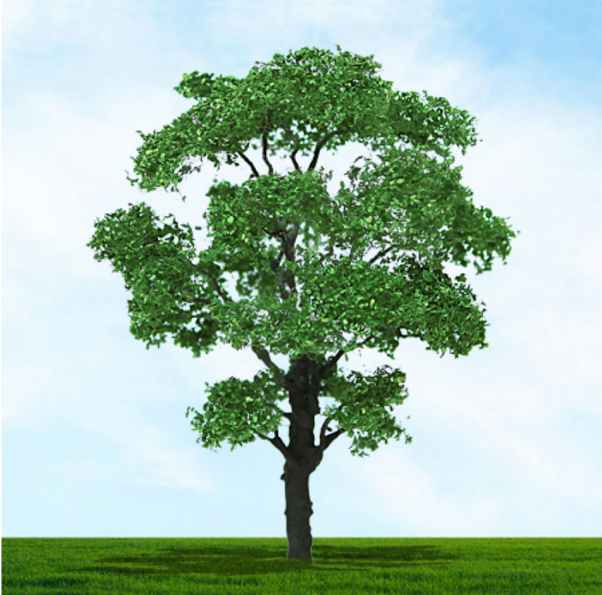 Tasma Products - 003958 - Chestnut Trees - 4 per pack - N scale – Simon ...