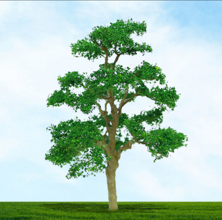 Tasma Products - 004054 - Elm trees 3/pack - N Scale 1-1/2" - 2 ...